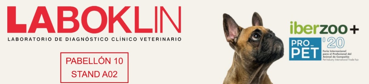 Carmen Lorente en AMVAC - Conferencia y comunicaciones libres ...